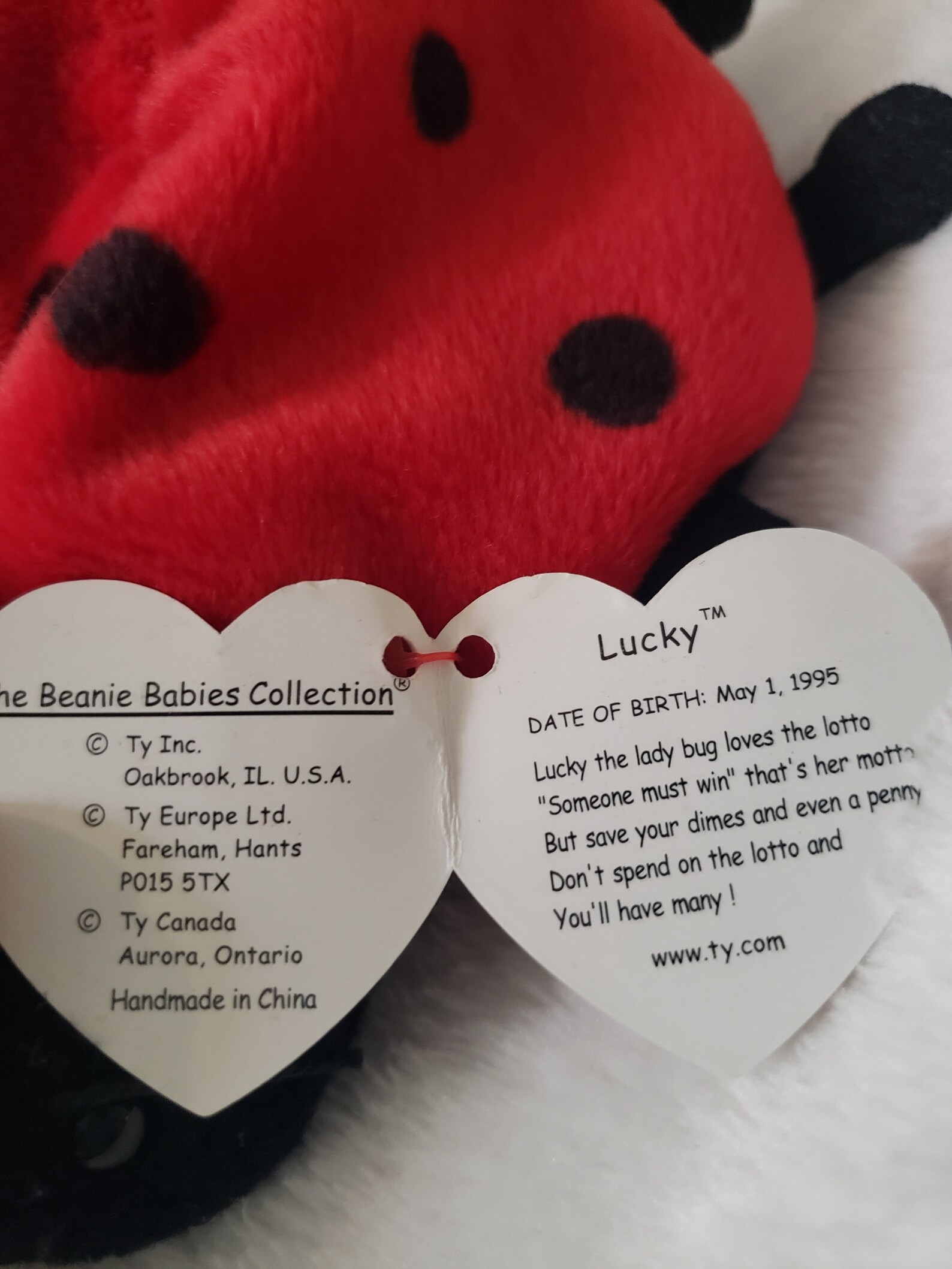 Lucky the Lady Bug Beanie Baby 1995 - Etsy