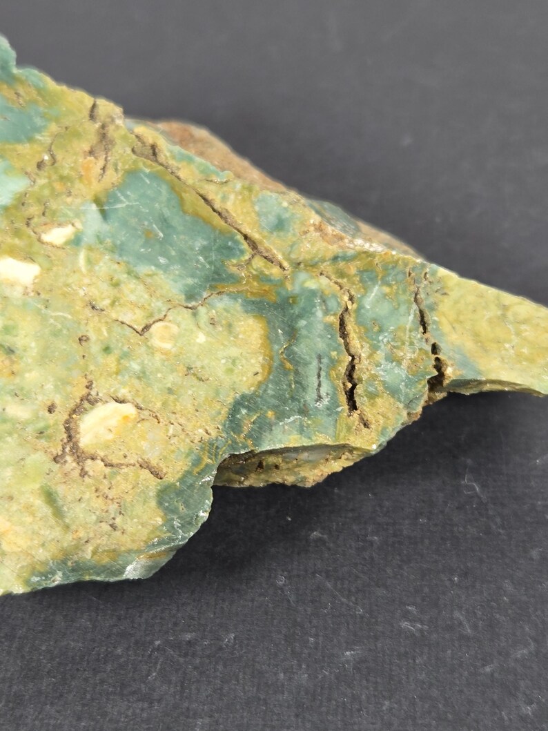 Nevada Larsonite Fossil From the Mcdermitt Region | Silicified Peat ...
