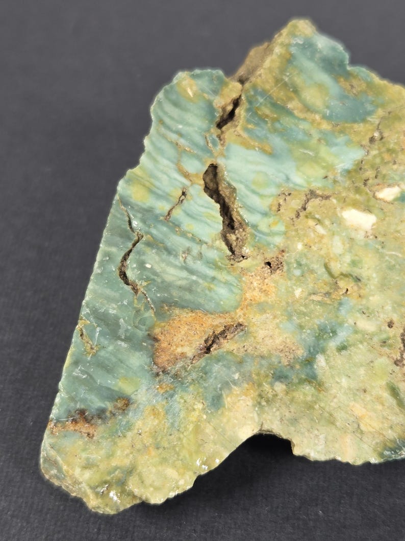 Nevada Larsonite Fossil From the Mcdermitt Region | Silicified Peat ...