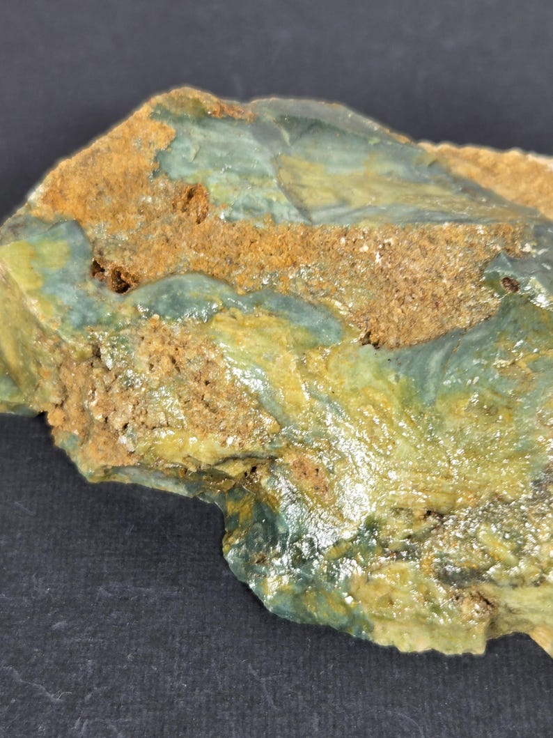 Nevada Larsonite Fossil From the Mcdermitt Region | Silicified Peat ...