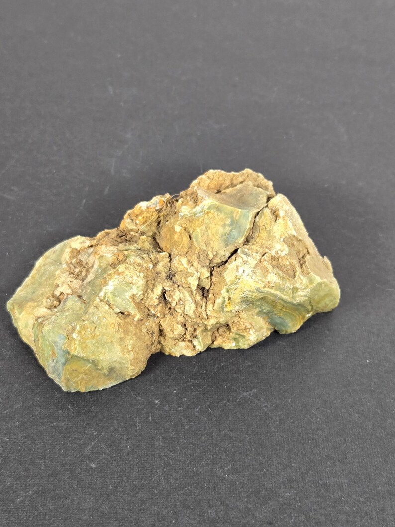 Moss-like Fossil Striations | Nevada Larsonite From the Mcdermitt ...