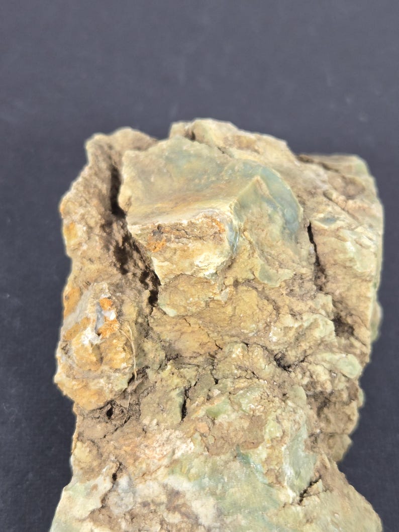 Moss-like Fossil Striations | Nevada Larsonite From the Mcdermitt ...