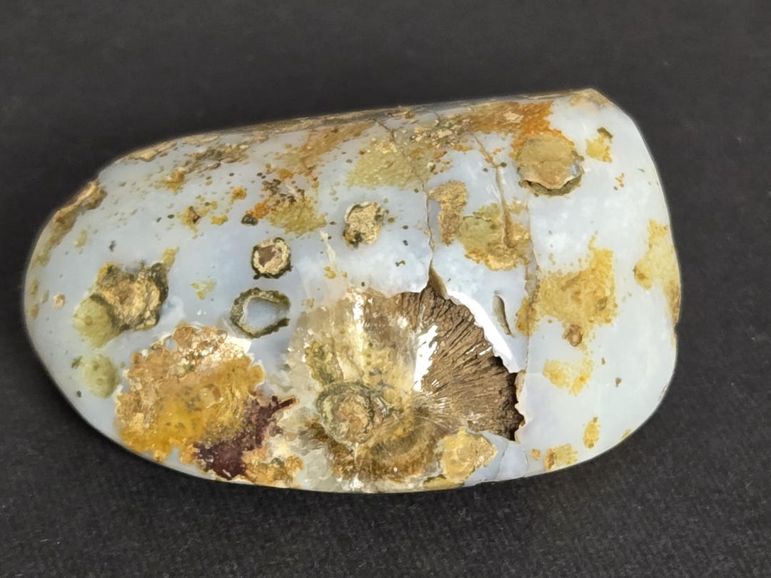 Nevada Monte Cristo Layered Jasper Chalcedony Pocket Discovery Specimen ...