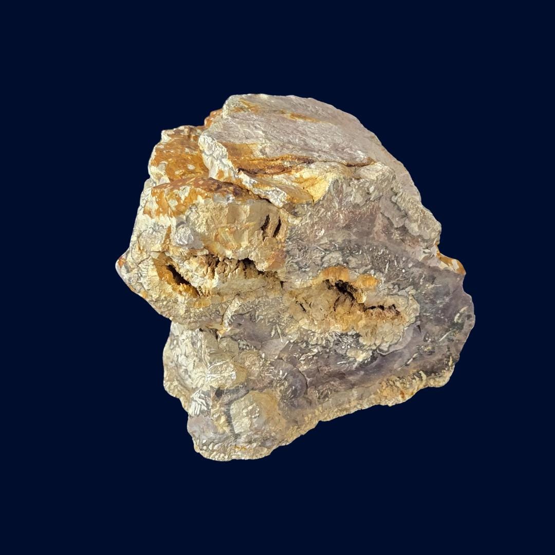 Nevada Orbicular Jasper Specimen From Lovelock Basin – Large Natural ...