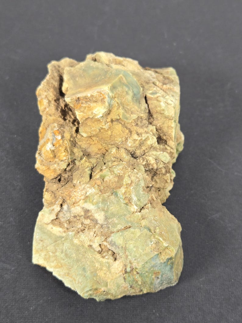 Moss-like Fossil Striations | Nevada Larsonite From the Mcdermitt ...