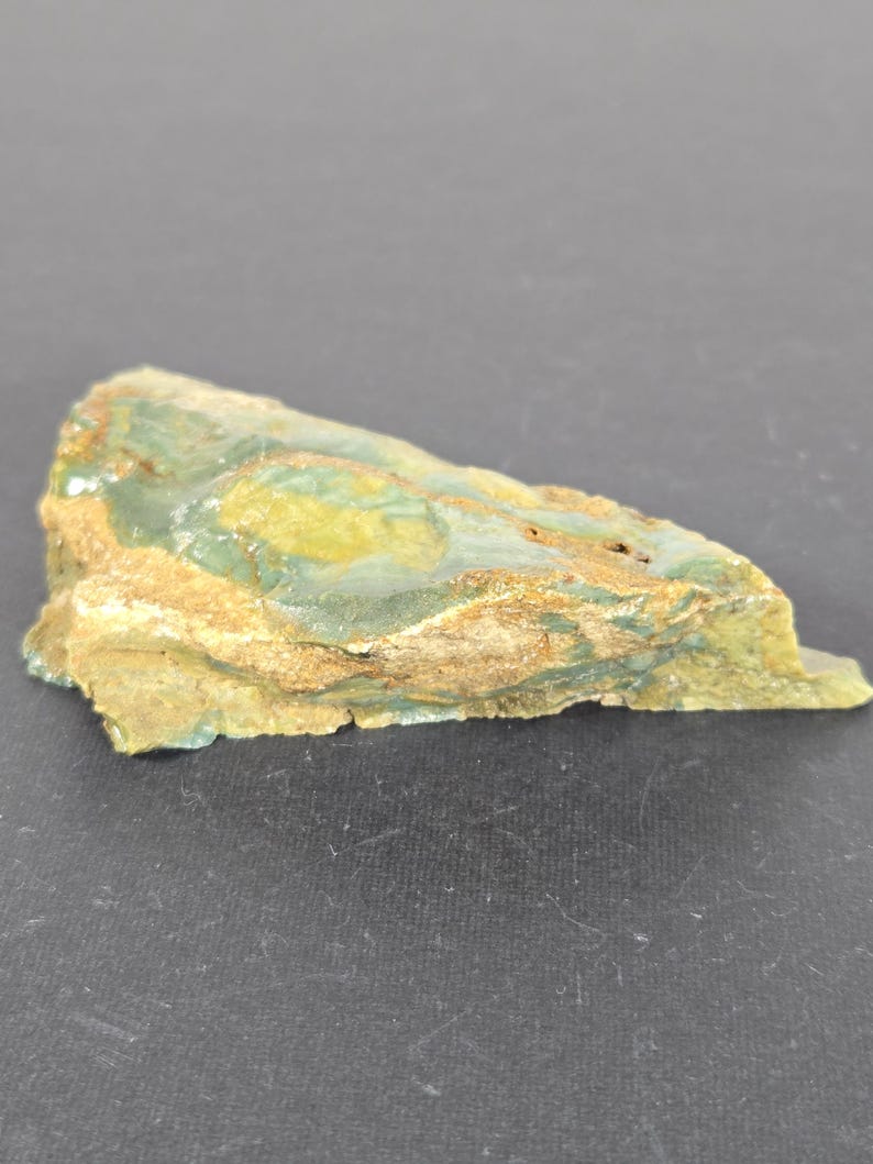 Nevada Larsonite Fossil From the Mcdermitt Region | Silicified Peat ...