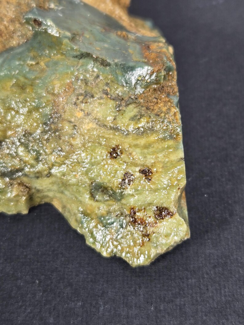 Nevada Larsonite Fossil From the Mcdermitt Region | Silicified Peat ...