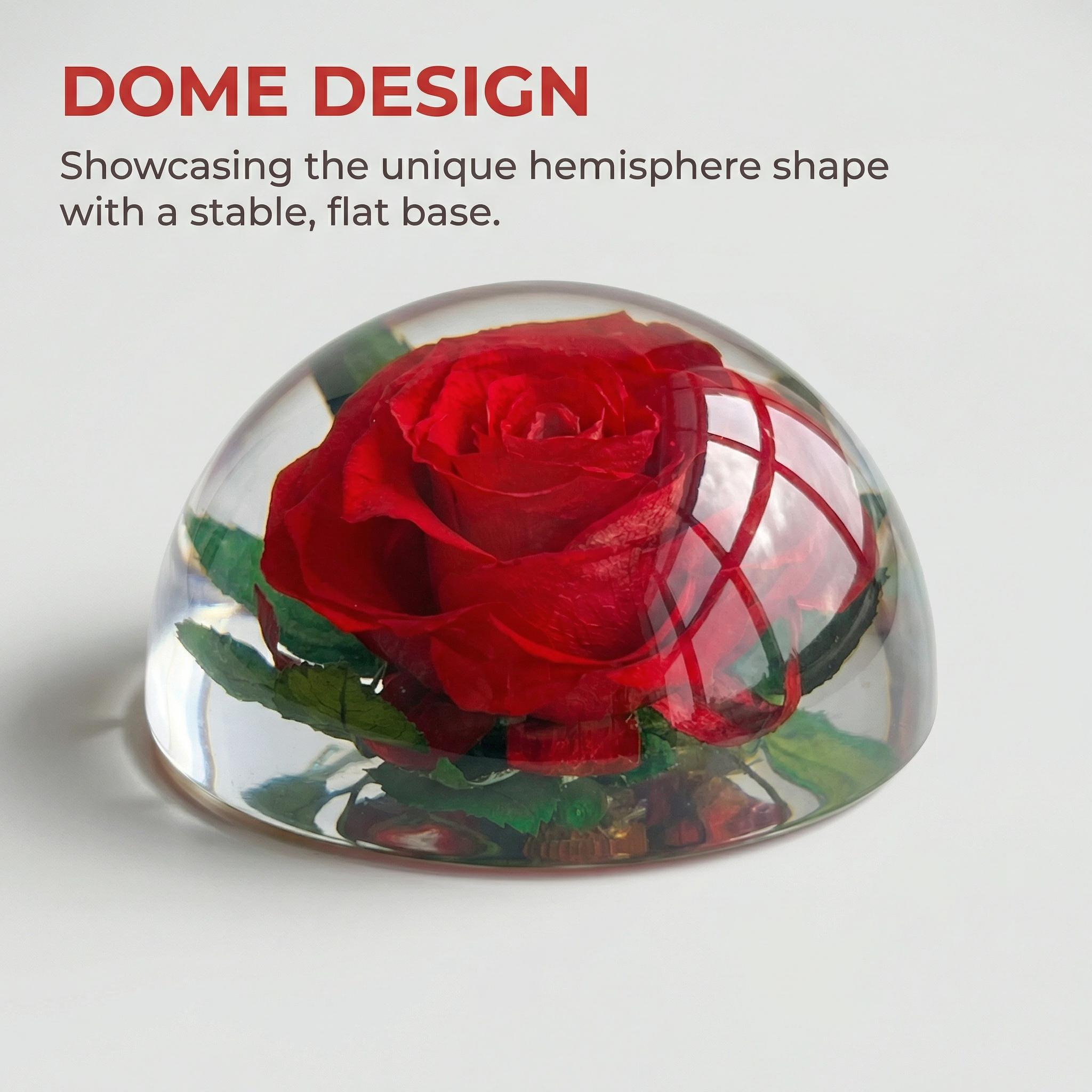 Preserved Red Rose Resin Half Dome, Forever Rose Gift for Her ...