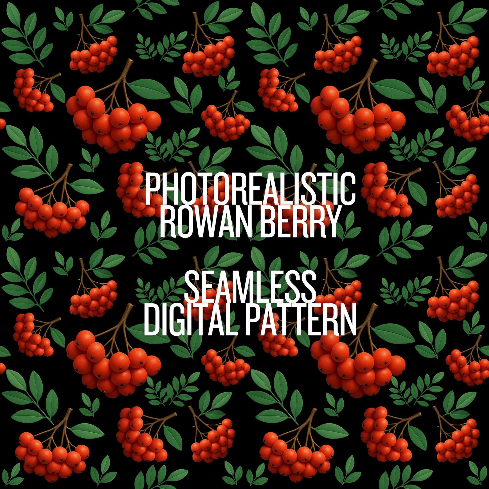 Photorealistic Seamless Rowan Berry - Etsy