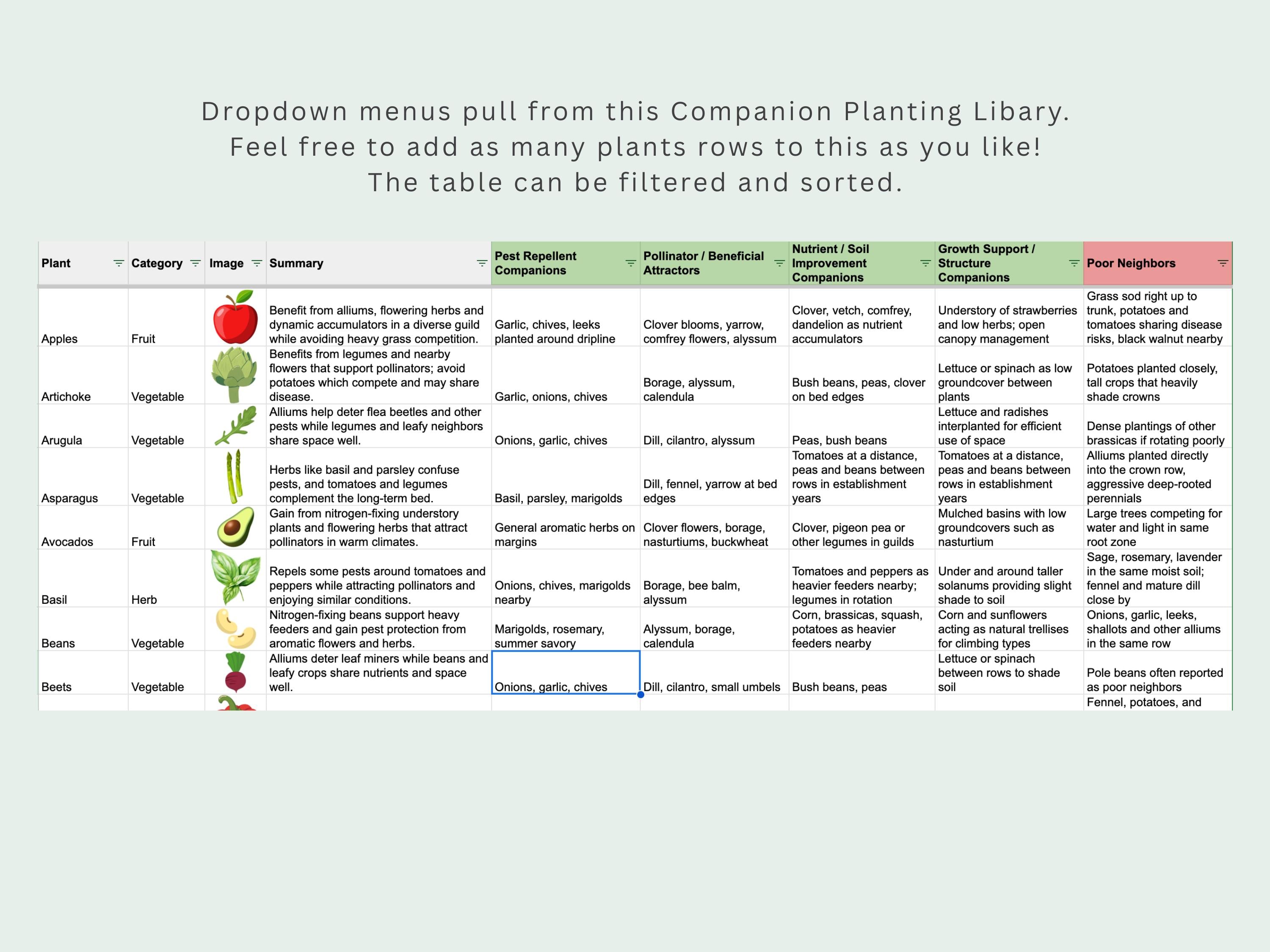 Companion Planting Guide & Garden Layout Planner (google Sheets), Good ...