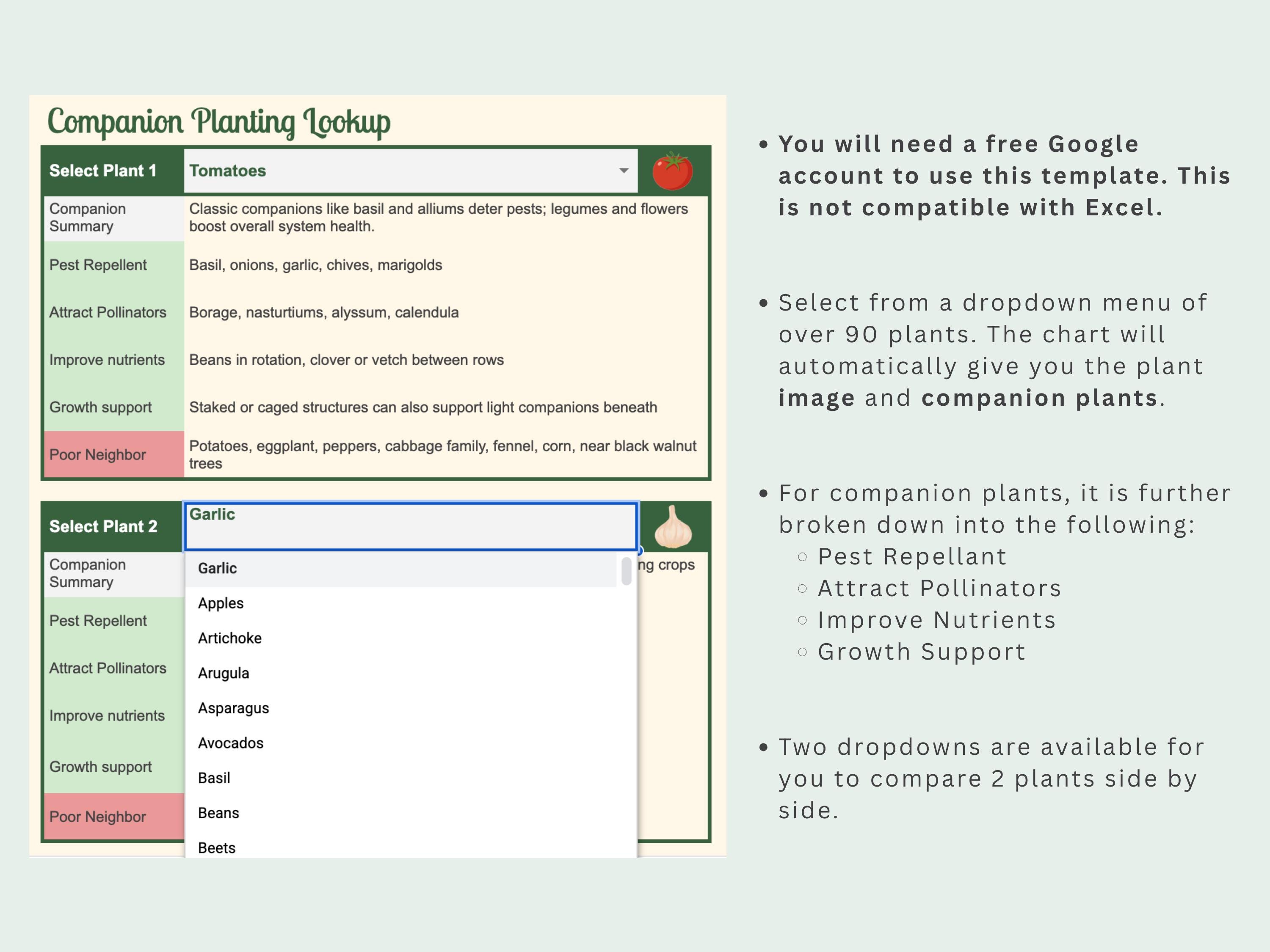 Companion Planting Guide & Garden Layout Planner (google Sheets), Good ...