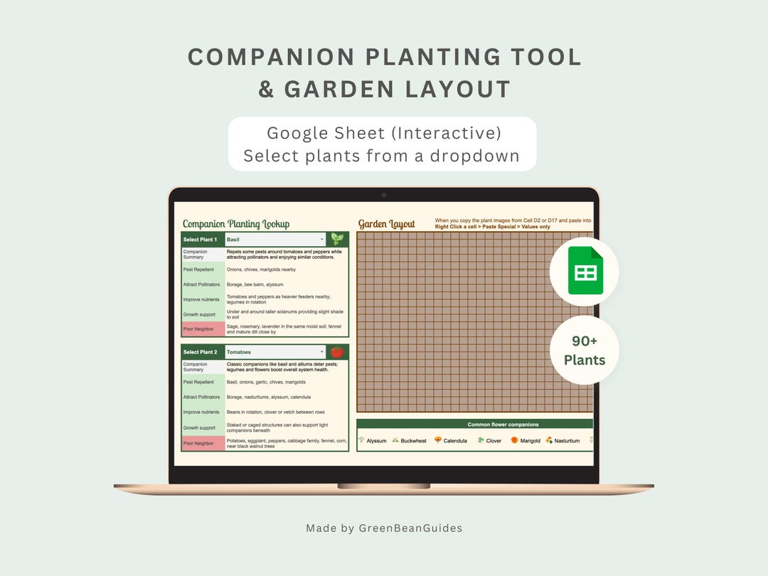 Companion Planting Tool & Garden Layout (google Sheets), Good and Bad ...