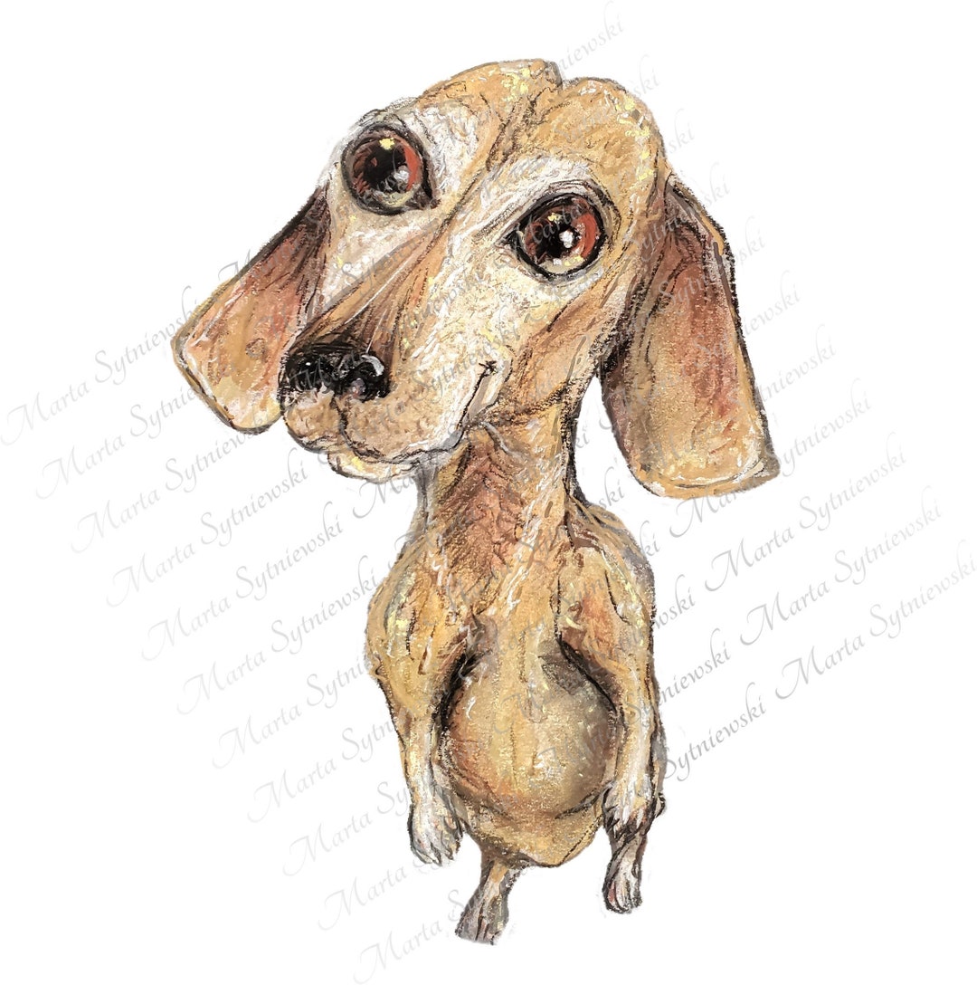 Dachshund Wiener Dog Png Sublimation Design Transparent - Etsy