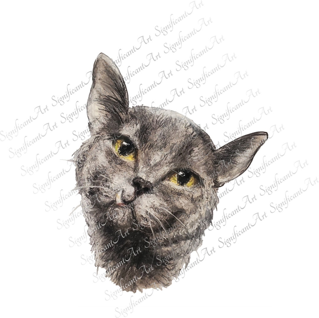 Funny Cat PNG, Clip Art, Commercial Use, Funny Cat Clipart, Instant ...