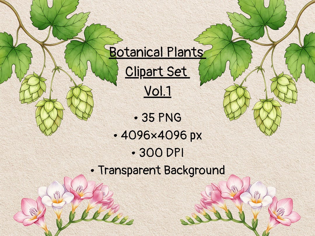 Watercolor Botanical Clipart Set • 35 PNG Elements • 300 DPI ...