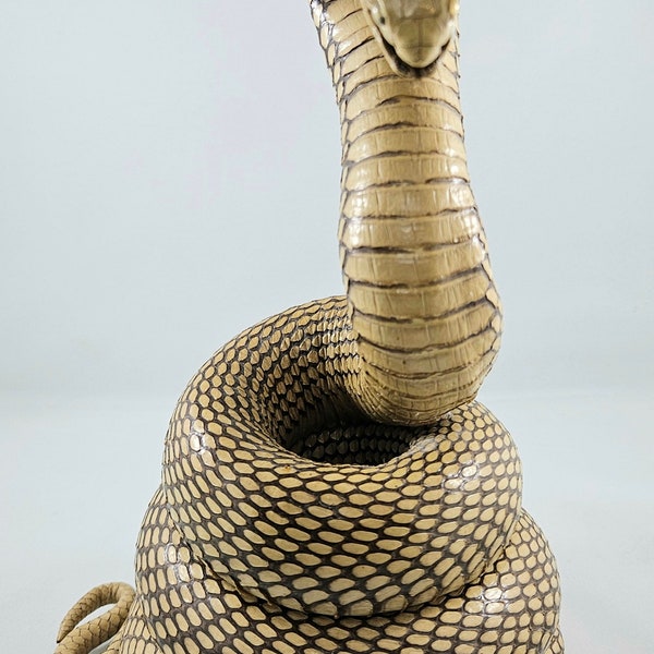 Taxidermy Snake - Etsy