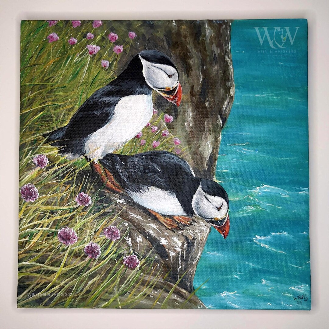 Original One-off Acrylic Paintings, Puffins, British Birds, Wildlife ...