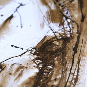 Sepia Ink Painting of a Horse Head on Paper a Contemporary Original ...