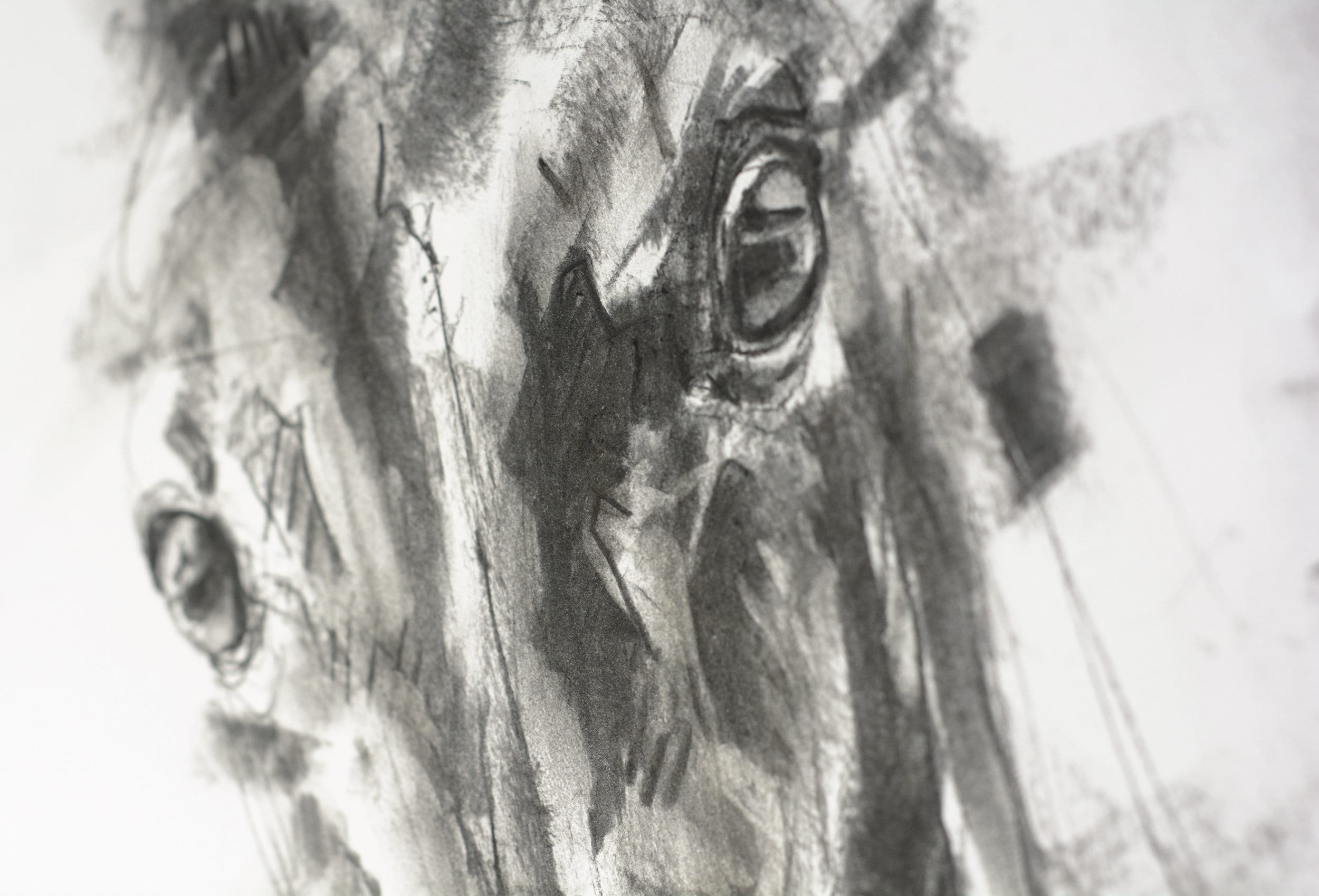 Original Charcoal and Black Chalk Drawing on Paper of 3 Horses Heads ...