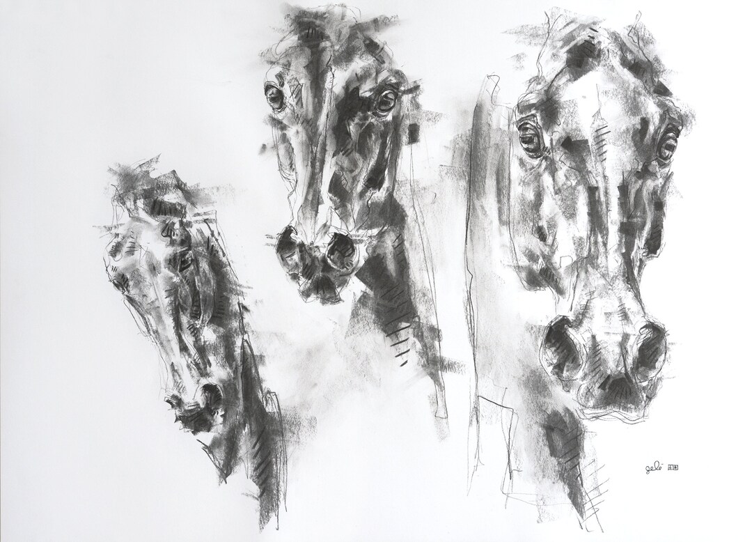 Original Charcoal and Black Chalk Drawing on Paper of 3 Horses Heads ...
