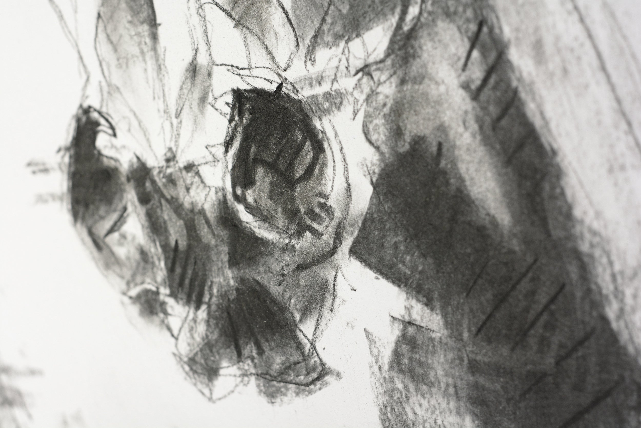 Original Charcoal and Black Chalk Drawing on Paper of 3 Horses Heads ...