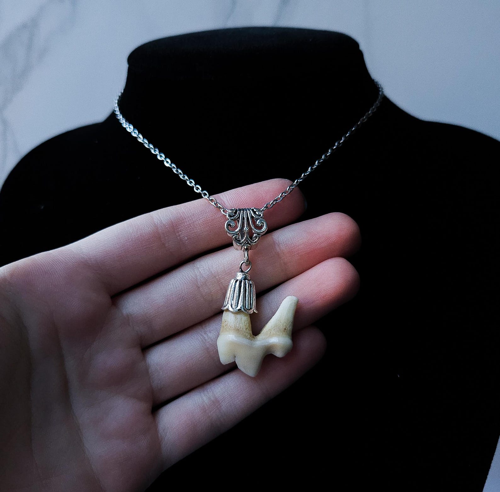 Tooth Necklace | Bone Necklace | Bone Pendant | Gothic Natural Necklace ...