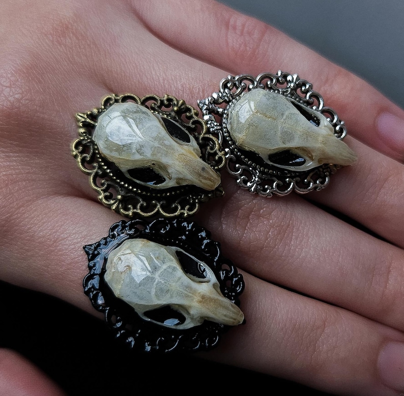 Skull Ring | Bone Ring | Real Bone Ring | Gothic Ring | Oddities Ring ...