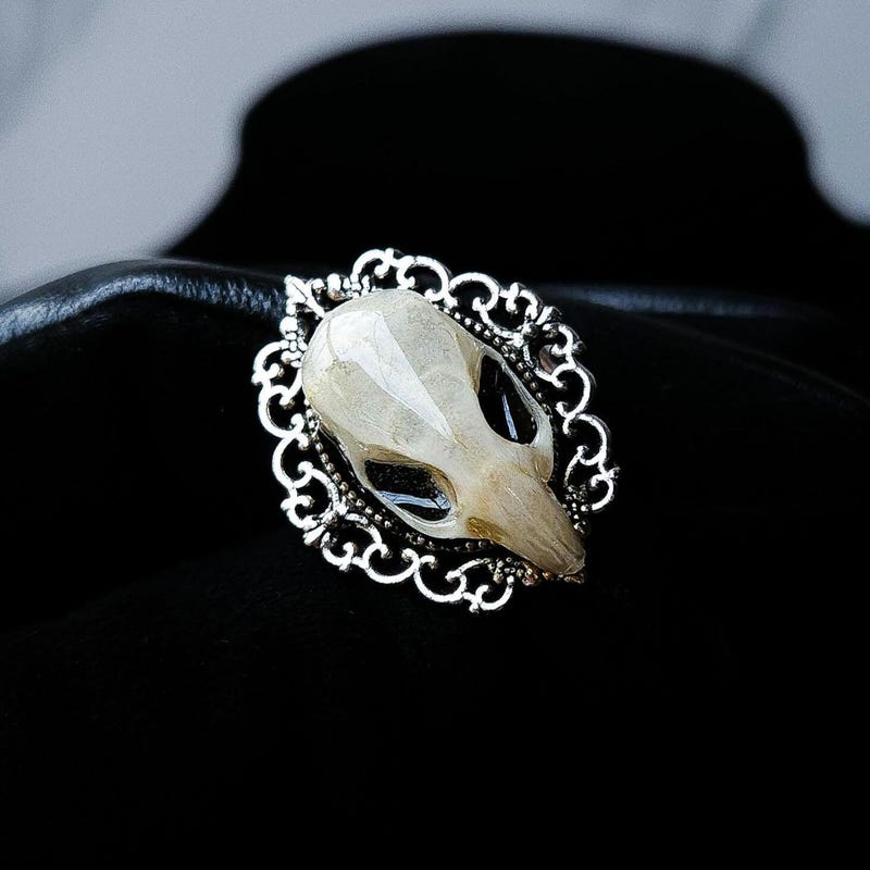 Real Bone Ring - Etsy