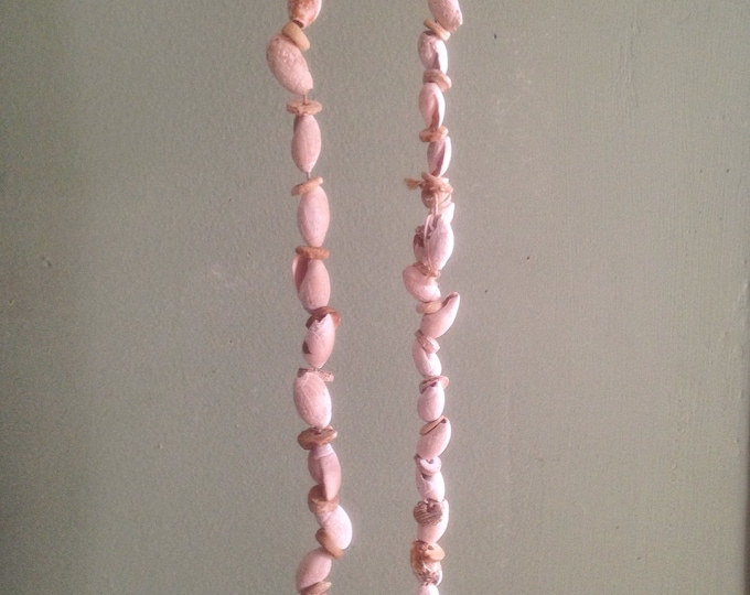 Antique Northern California Native Pomo Chumash Indian Olivella Shell ...