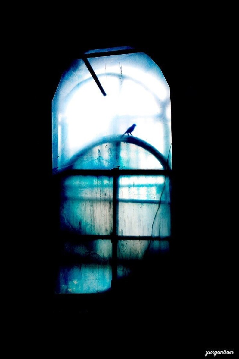 The Bird in the Window Dark Art Photography Print Mysterious Macabre ...
