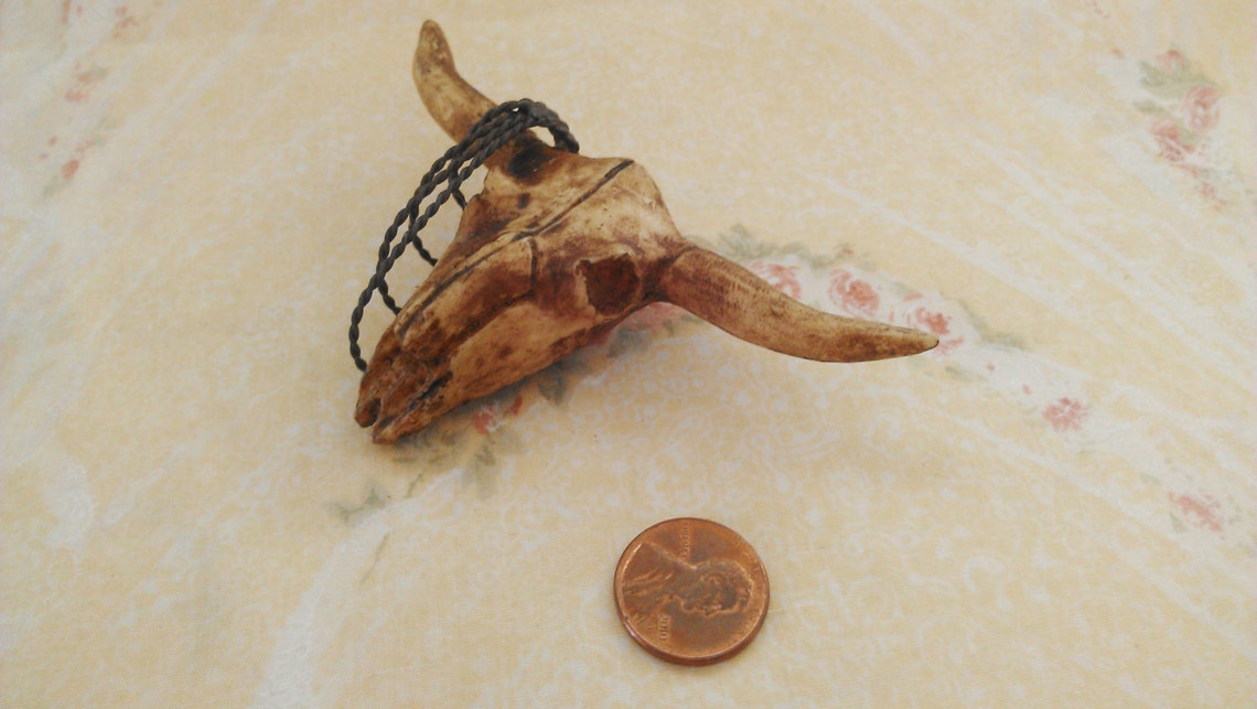Plastic Molded OX or Cattle Skeleton Head With Wire Rope - Craft Supply ...