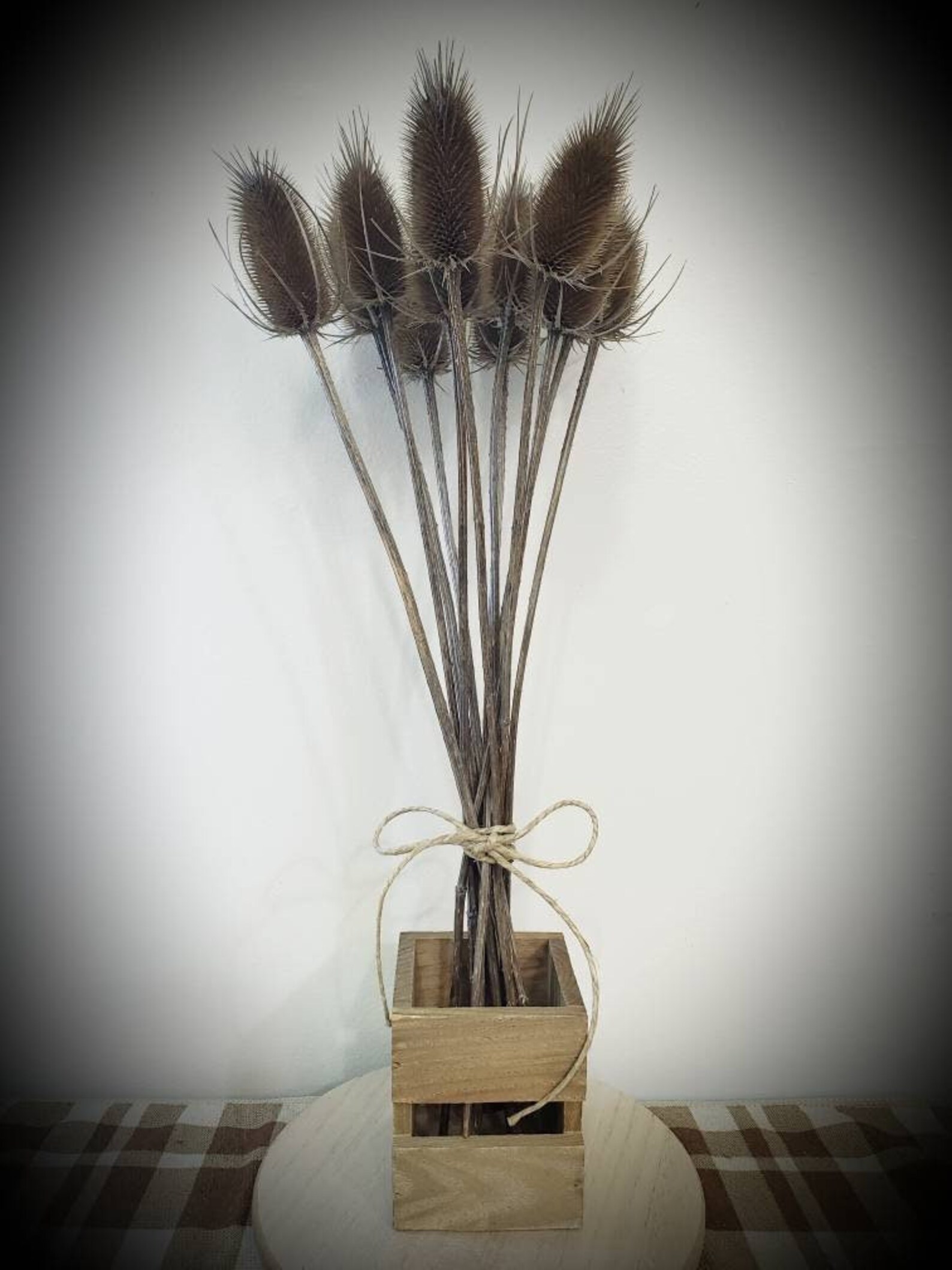 Teasel Stalks Thistle Stalks Wild Teasel Stems Natural - Etsy