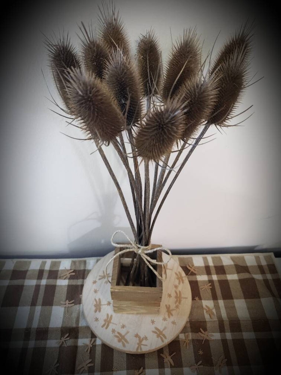 Teasel Stalks, Thistle Stalks, Wild Teasel Stems, Natural Thistle ...