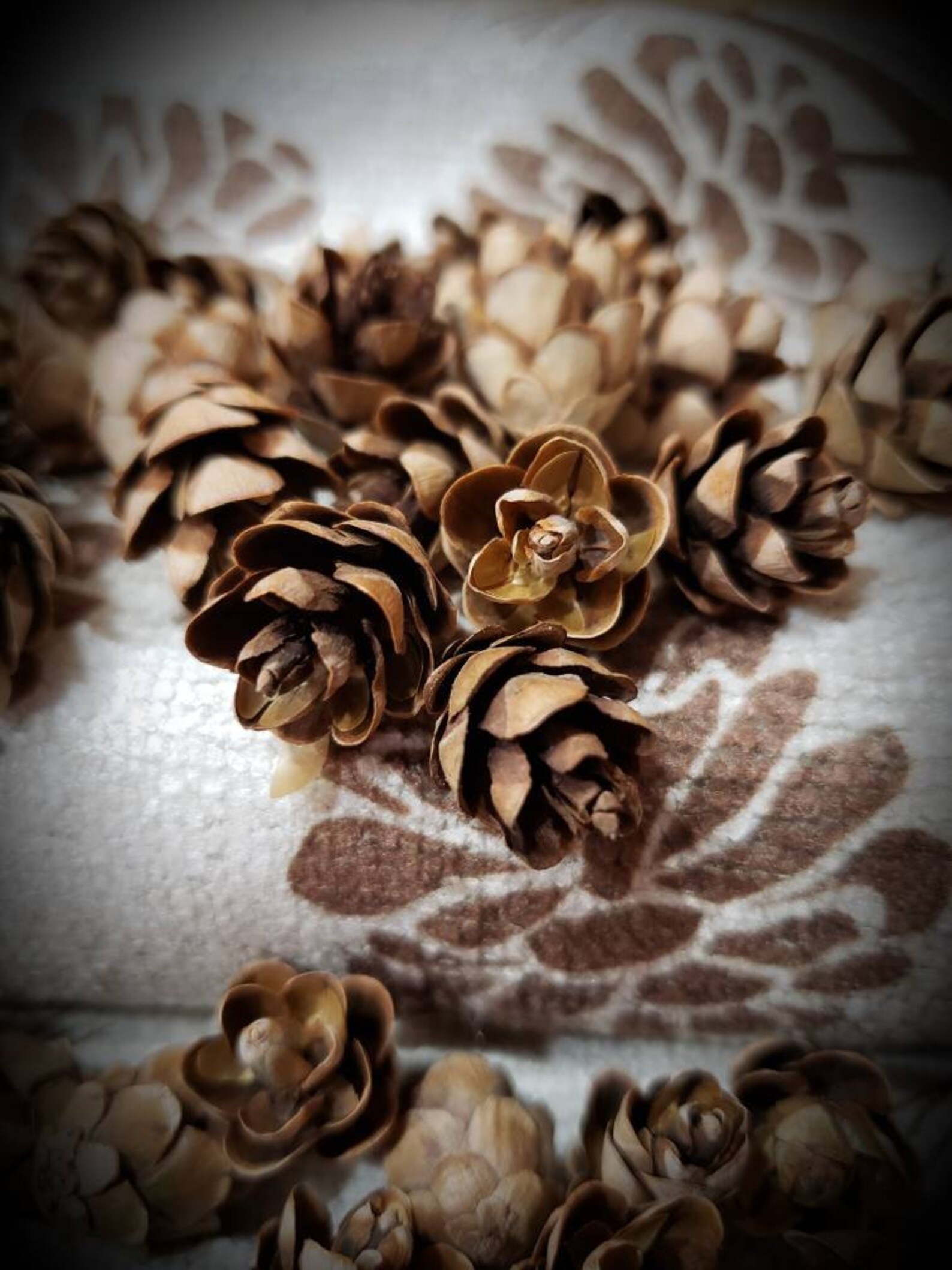 Mini Pinecones, Hemlock Natural Dried Pine Cones, Eastern Hemlock, Crafting, Small Pinecones ...