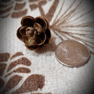 Mini Pinecones, Hemlock Natural Dried Pine Cones, Eastern Hemlock, Crafting, Small Pinecones ...