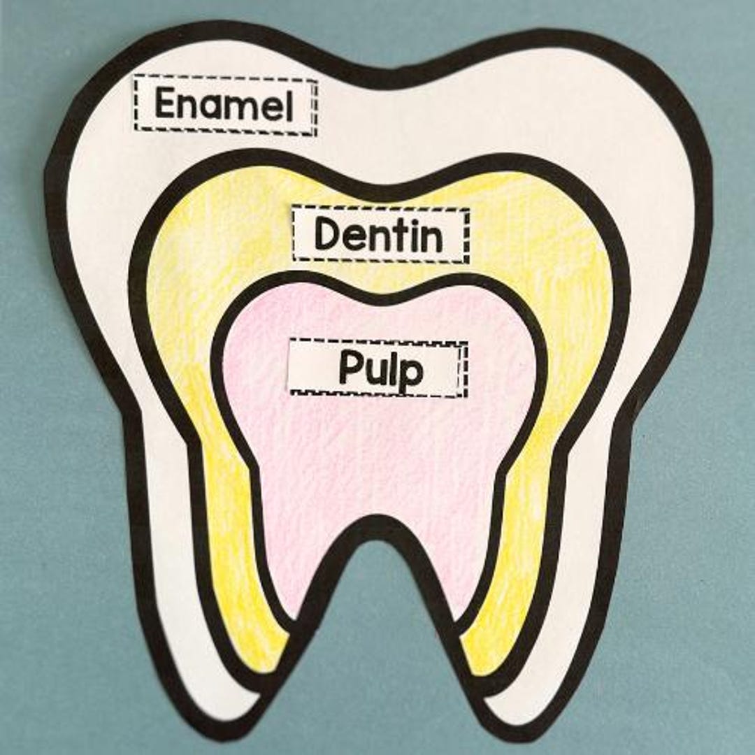 Parts of a Tooth Craft | Dental Health Activity for Kids | Pre-k ...