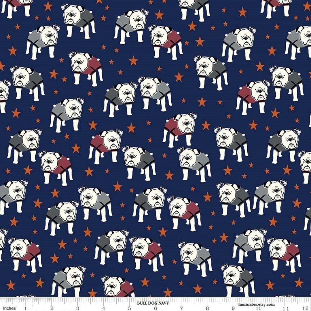 Hey Mister Main Navy * - LAMINATED Cotton Fabric - Riley Blake - Etsy