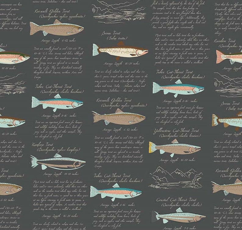 Gone Camping Trout Paper Charcoal - LAMINATED Cotton Fabric - Riley ...