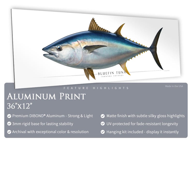 Bluefin Tuna - Side View Saltwater Gamefish Giclee Paper & Aluminum ...