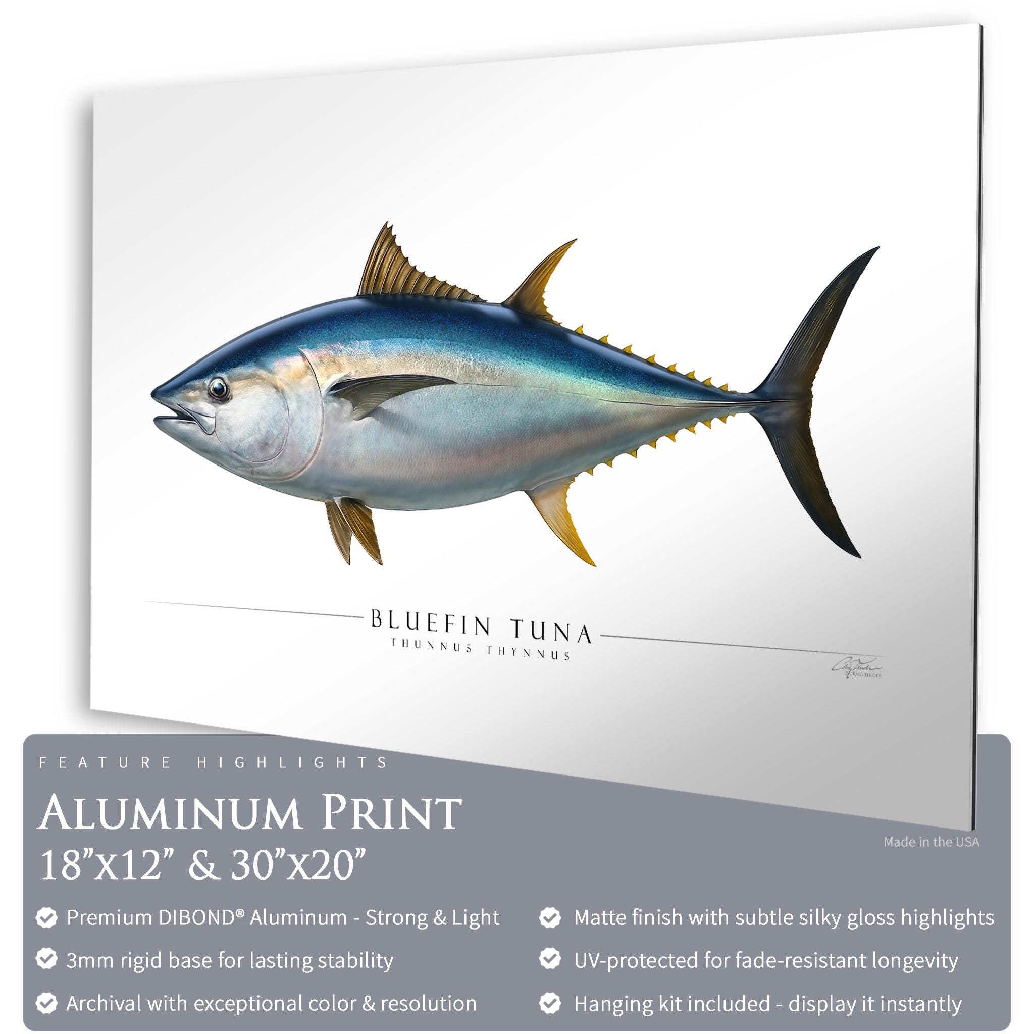 Bluefin Tuna - Side View Saltwater Gamefish Giclee Paper & Aluminum ...