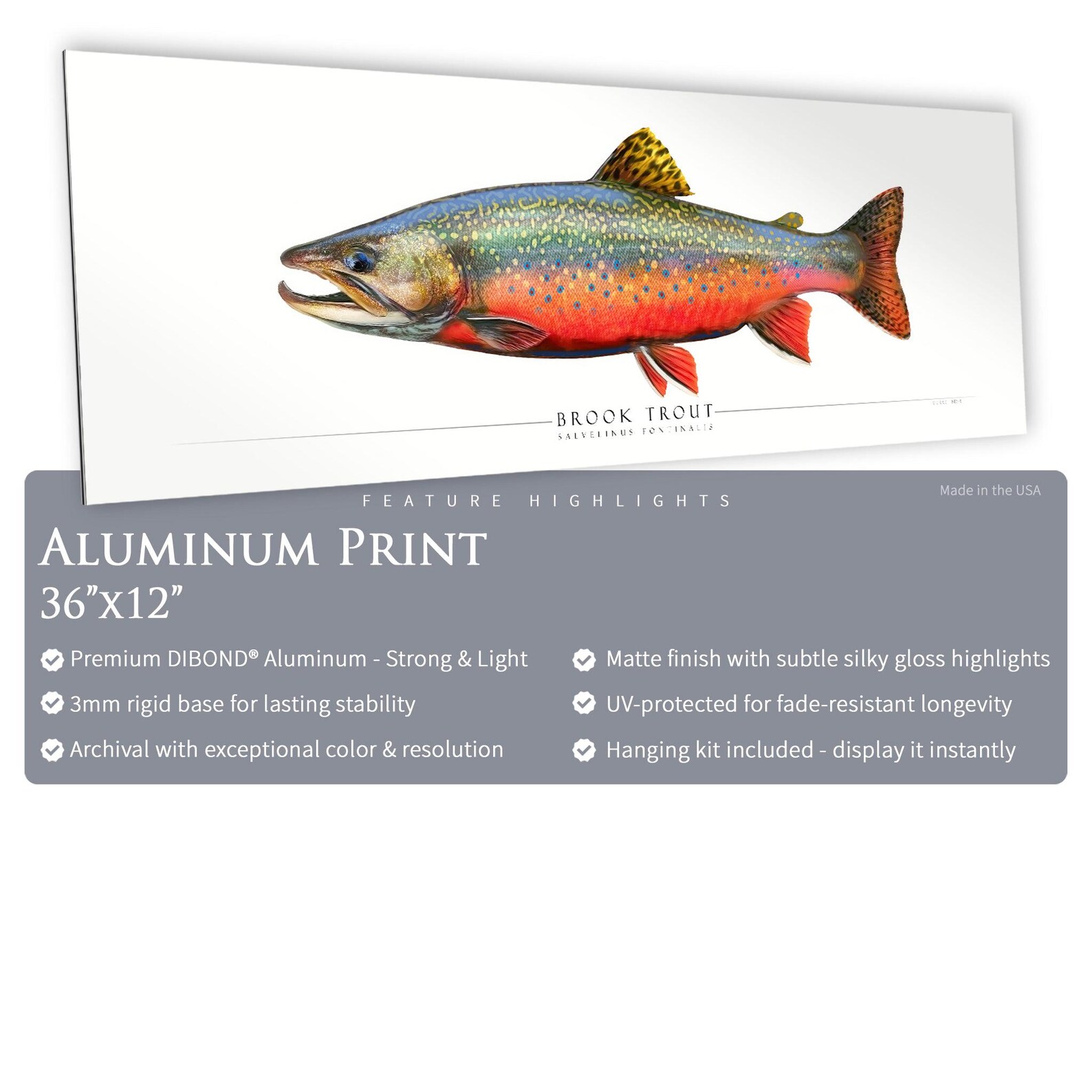 Brook Trout - Side View Freshwater Gamefish Giclee Paper & Aluminum ...