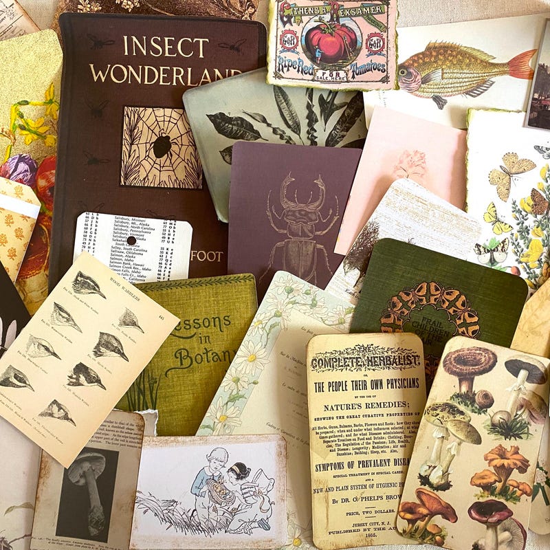 Nature Botanical Items - Etsy