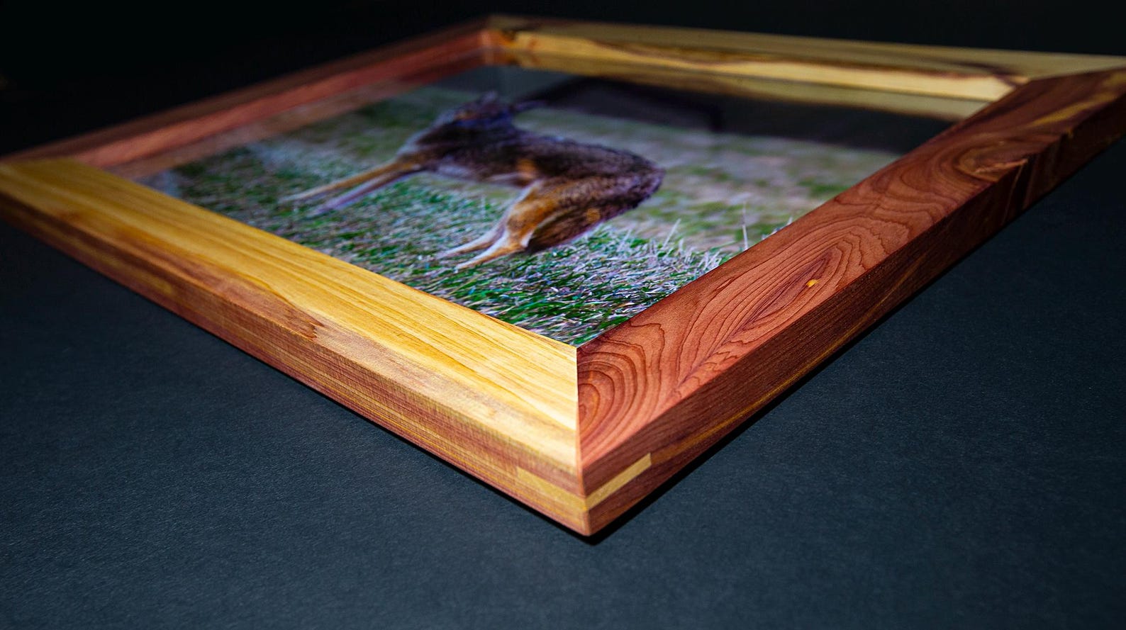 Handmade Wooden Ceder Frame, Plus UV Resistant Acrylic Glass ...