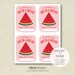INSTANT DOWNLOAD Printable Watermelon Valentine Printable Valentine ...