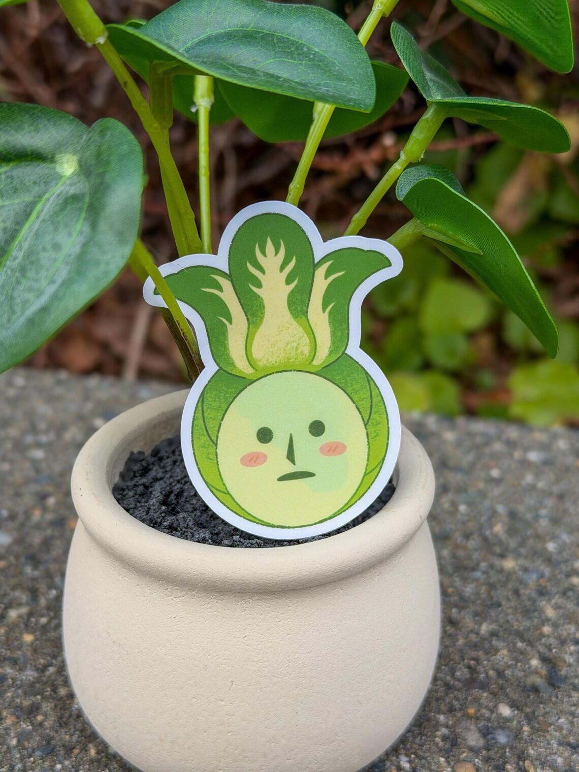 Bok Choy Smiski Sticker | Waterproof Vinyl for Water Bottle, Laptop ...