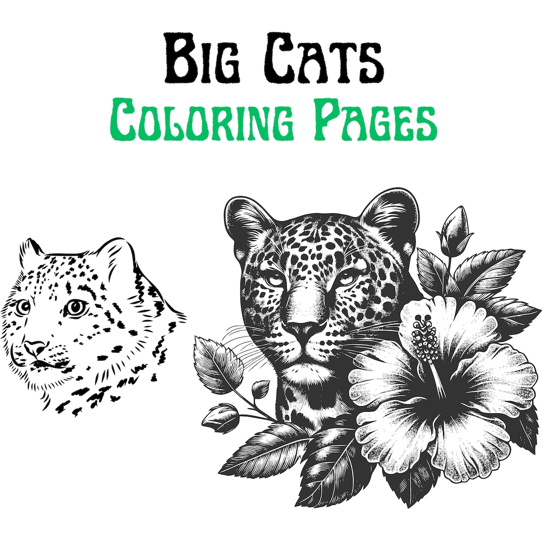 Big Cats Coloring Pages/printable Coloring Pages/coloring Pages PDF - Etsy
