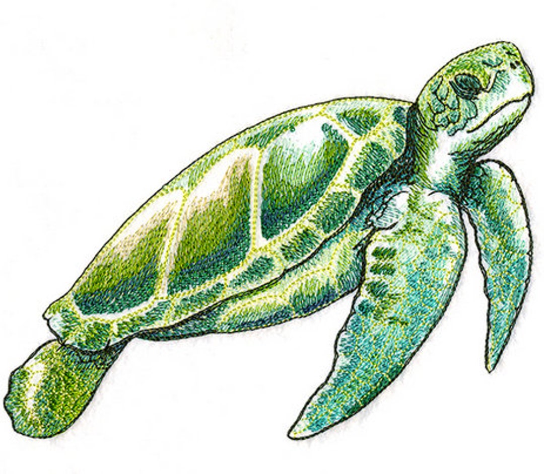 Coastal Sea Turtle Embroidered Waffle Weave Hand/dish Towel - Etsy