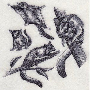 Sketch Style Sugar Gliders Embroidered Waffle Weave Hand/dish Towel - Etsy
