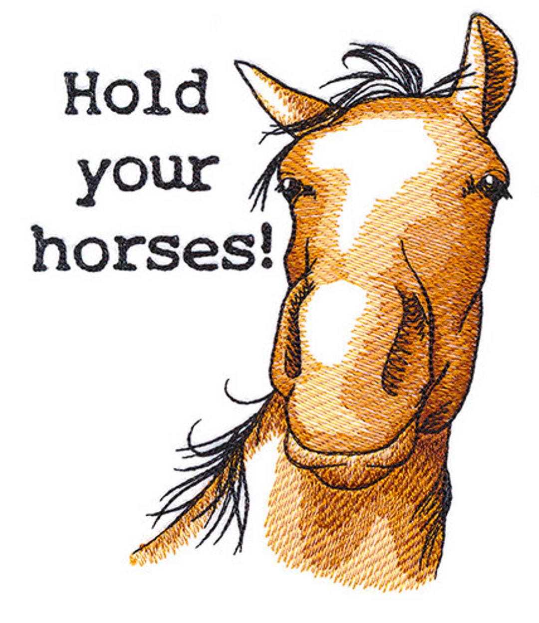 Hold Your Horses Funny Pun Horse Embroidered Waffle Weave Hand/dish ...