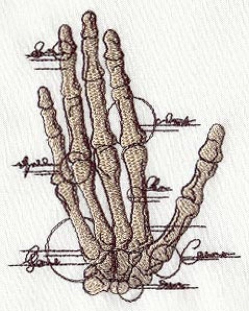 Anatomical Hand Embroidered Waffle Weave Hand/dish Towel | Etsy